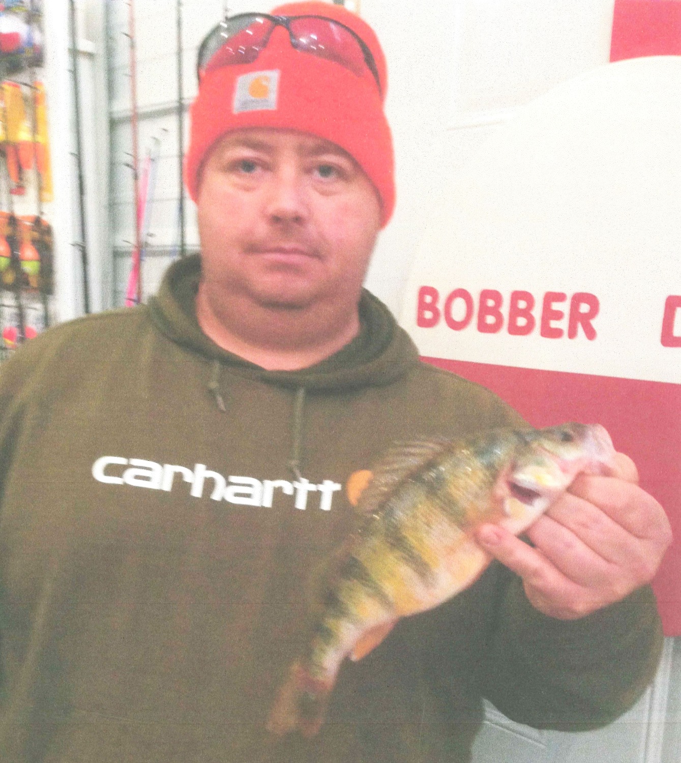 BRIAN MCCUBBINS's Master Angler Yellow Perch