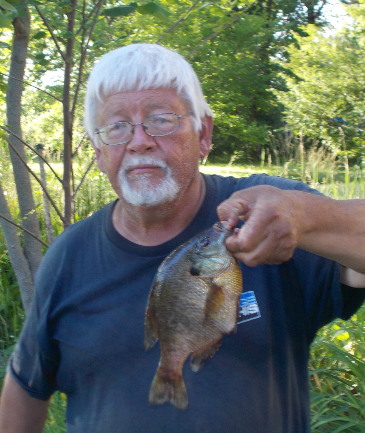 RICK OLSON's Master Angler Bluegill
