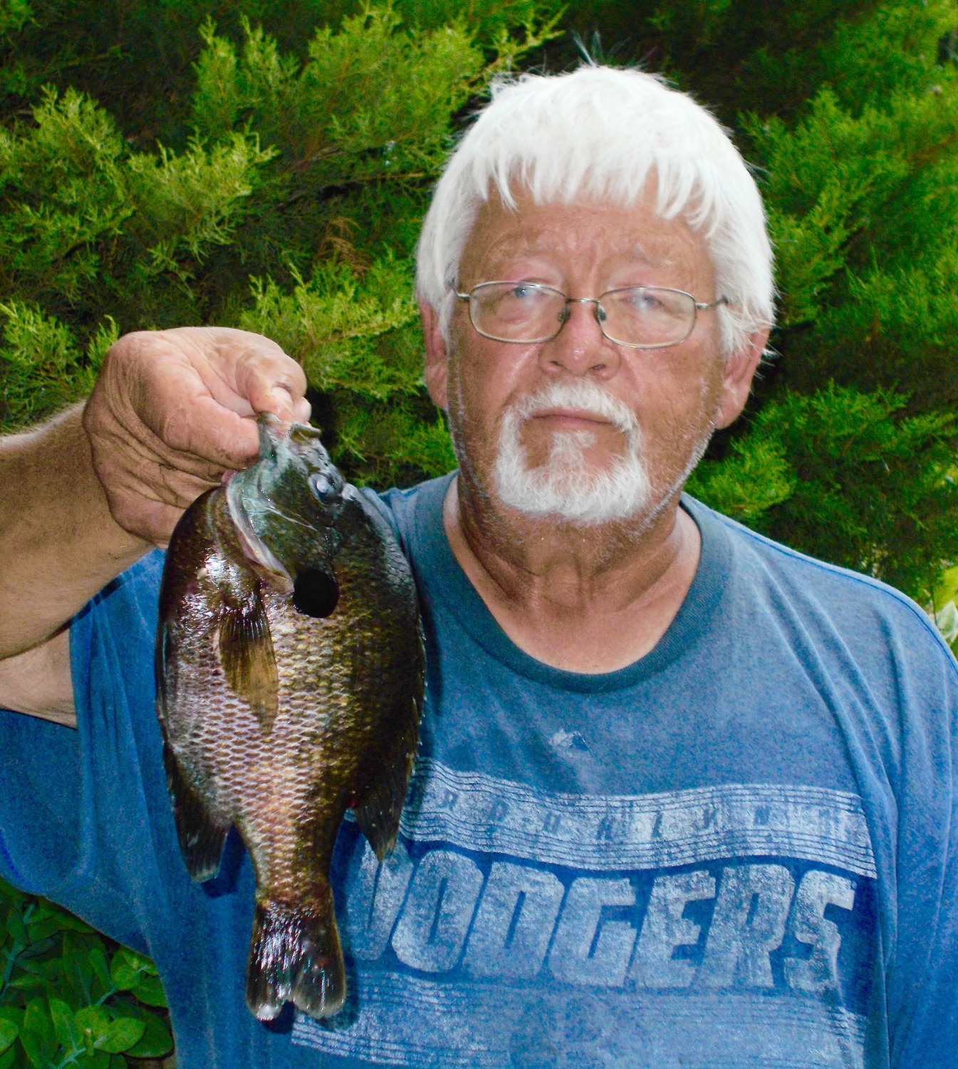 RICK OLSON's Master Angler Bluegill