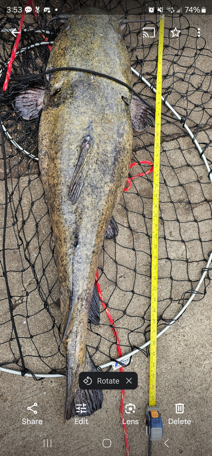 MICHAEL BAKER's Master Angler Flathead Catfish