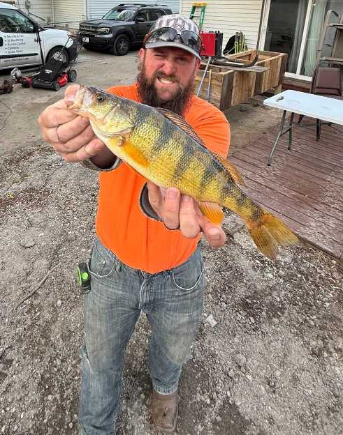 Todd Clewell's Master Angler Yellow Perch