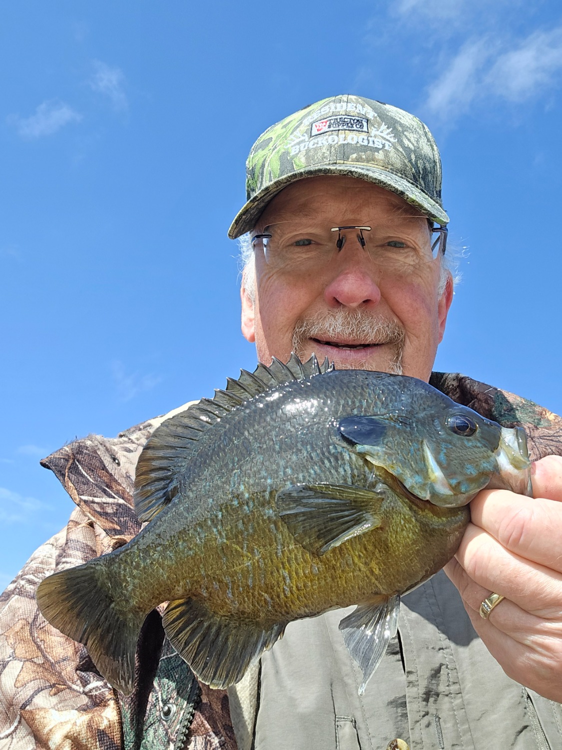 Douglas Farrell's Master Angler Green Sunfish