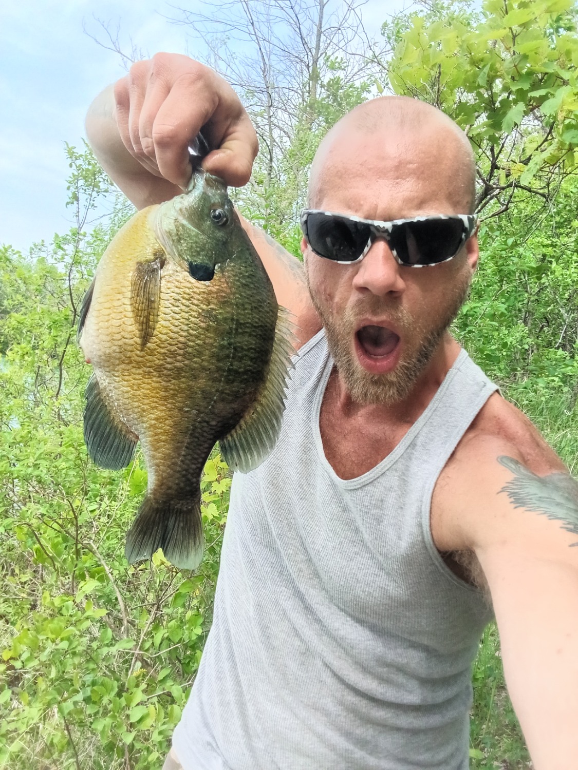 DILLON ANTHONY's Master Angler Bluegill