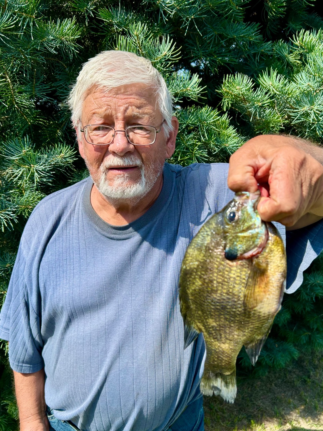 RICK OLSON's Master Angler Bluegill