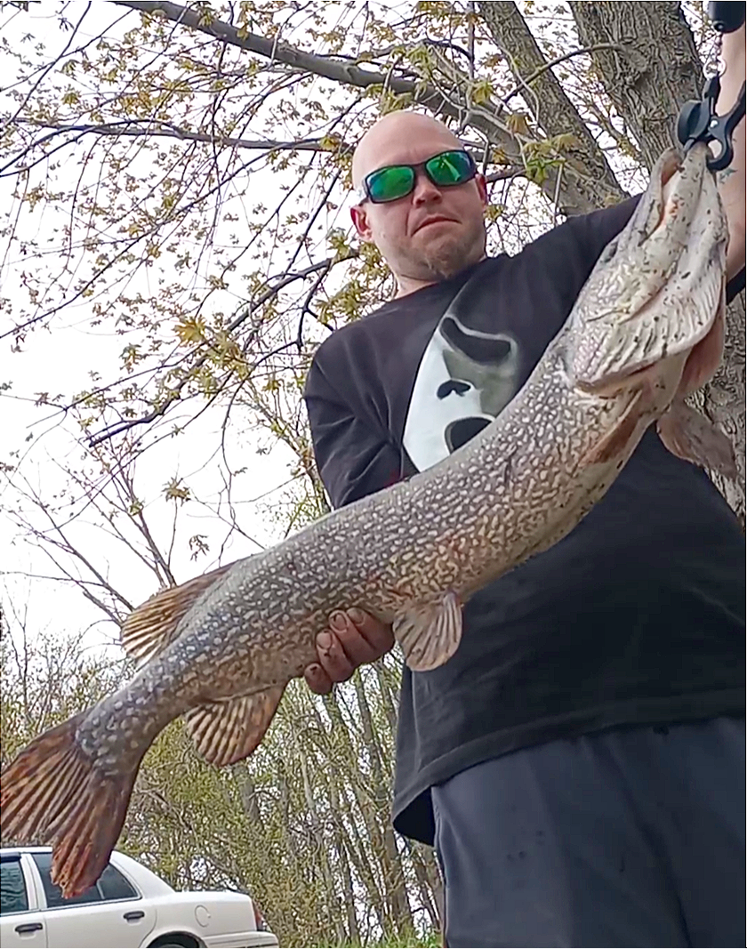 AUSTIN PIERSOL's Master Angler Northern Pike