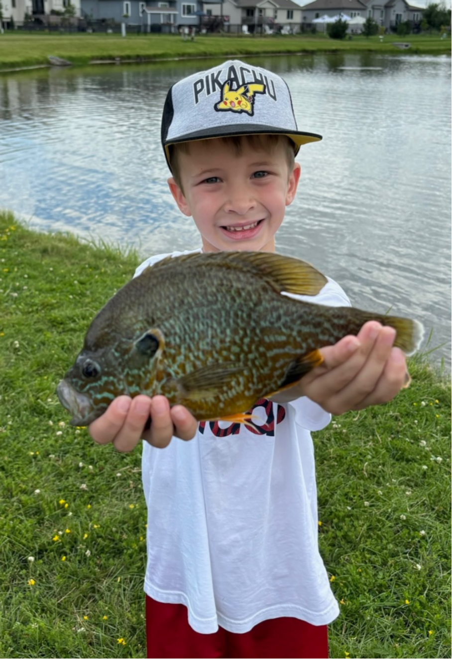 Ryan Vonnahme's Master Angler Pumpkinseed