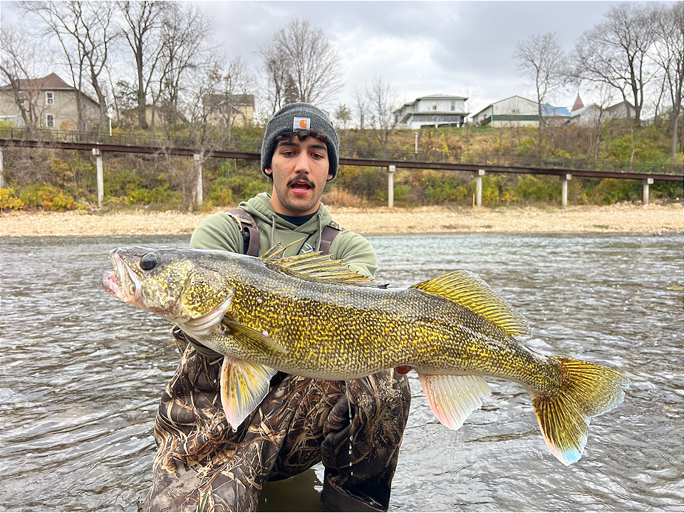 ZANE KIRUBAKARAN's Master Angler Walleye