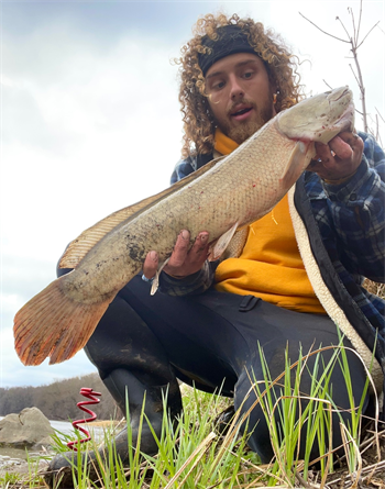 Fish Iowa - Fish Species - Bowfin