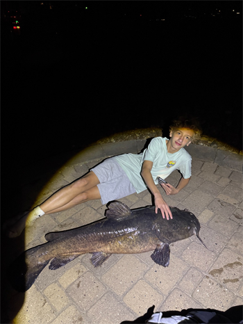 Fish Iowa - Fish Species - Flathead Catfish