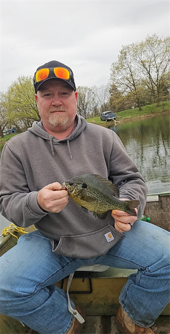 Fish Iowa - Fish Species - Bluegill