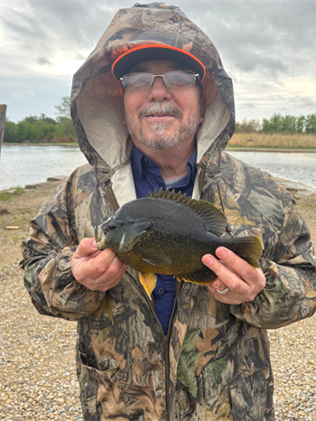 Fish Iowa - Fish Species - Green Sunfish