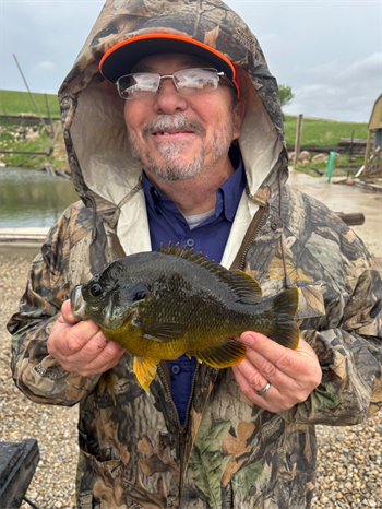 Fish Iowa - Fish Species - Green Sunfish