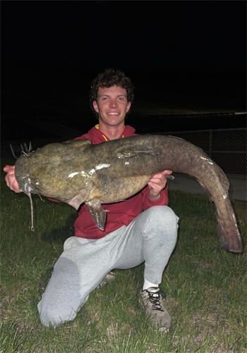 Fish Iowa - Fish Species - Flathead Catfish