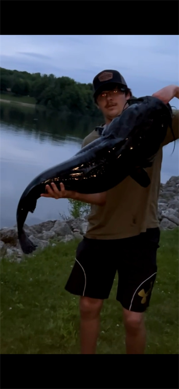 Fish Iowa - Fish Species - Flathead Catfish