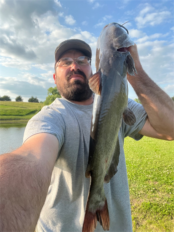 Fish Iowa - Fish Species - Channel Catfish