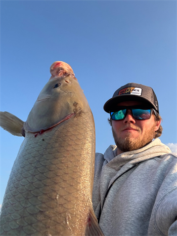 Fish Iowa - Fish Species - Bigmouth Buffalo