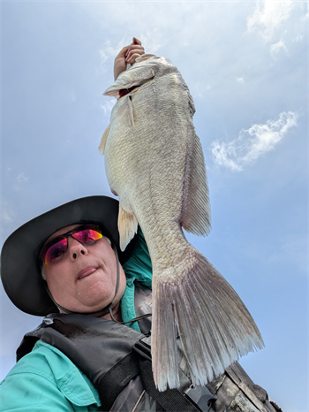 Fish Iowa - Fish Species - Freshwater Drum