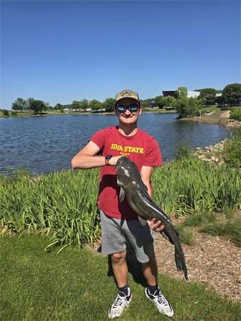 Fish Iowa - Fish Species - Channel Catfish