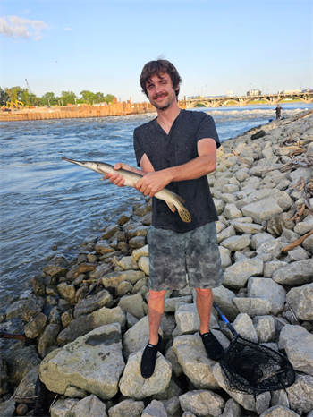 Fish Iowa - Fish Species - Longnose Gar