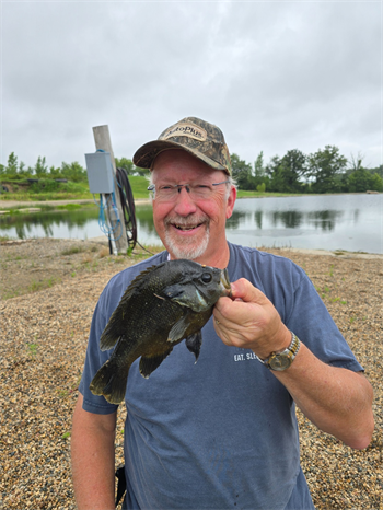 Fish Iowa - Fish Species - Green Sunfish