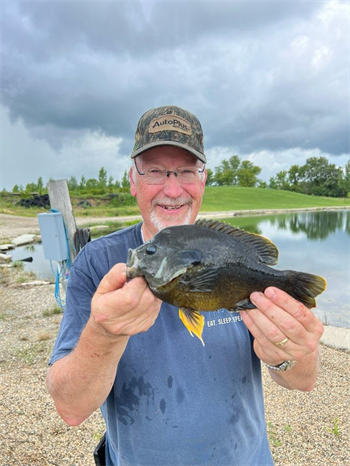 Fish Iowa - Fish Species - Green Sunfish