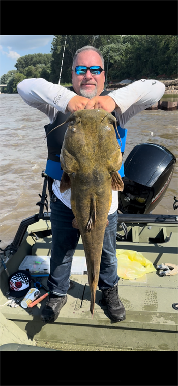 Fish Iowa - Fish Species - Flathead Catfish