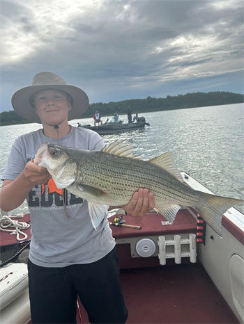 Fish Iowa - Fish Species - Wiper (Hybrid Striped Bass)