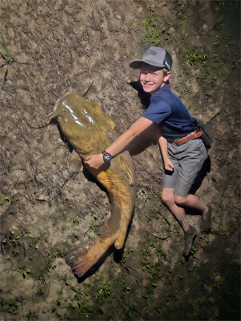 Fish Iowa - Fish Species - Flathead Catfish