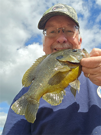 Fish Iowa - Fish Species - Green Sunfish