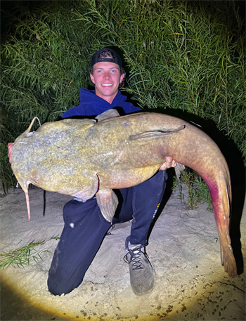 Fish Iowa - Fish Species - Flathead Catfish