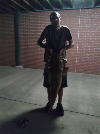 Fish Iowa - Fish Species - Flathead Catfish