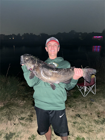 Fish Iowa - Fish Species - Channel Catfish