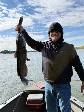 Fish Iowa - Fish Species - Channel Catfish