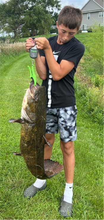 Fish Iowa - Fish Species - Flathead Catfish