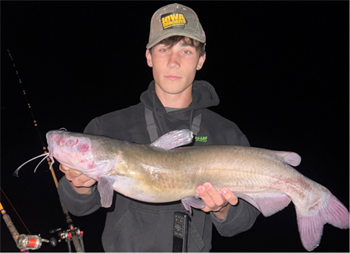 Fish Iowa - Fish Species - Channel Catfish
