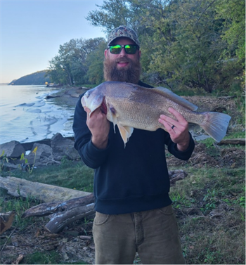 Fish Iowa - Fish Species - Freshwater Drum